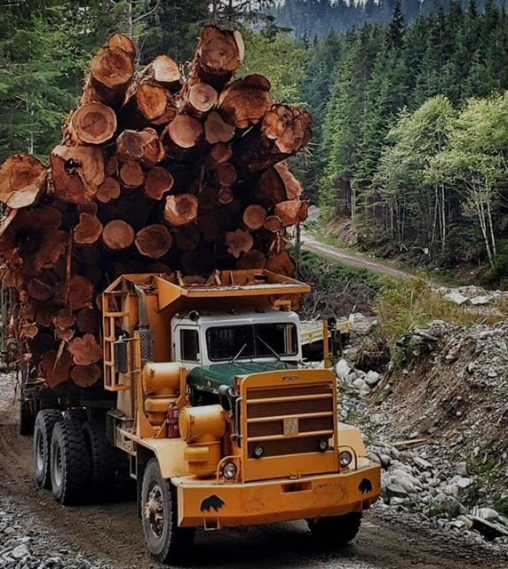 Hayes – Global Scale Model Trucks & Parts ( GSMT )